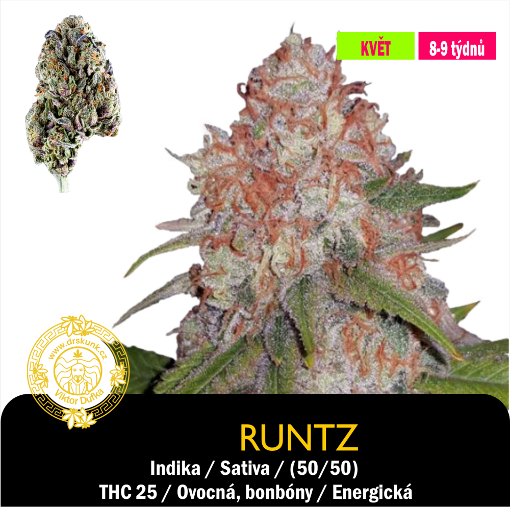 Runtz Feminizovaná Semena - Sladká Chuť a Luxusní Relaxace